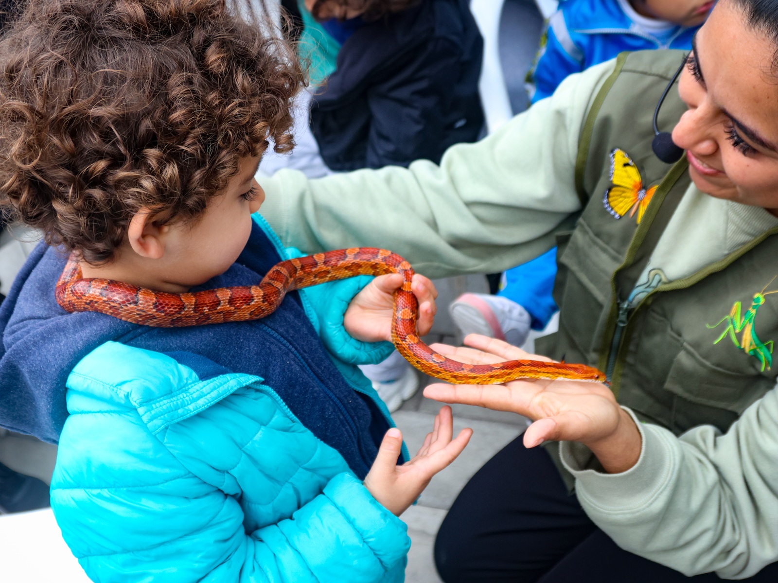 Miraflores realizó un nuevo taller de Insecto Aventuras - Municipalidad ...