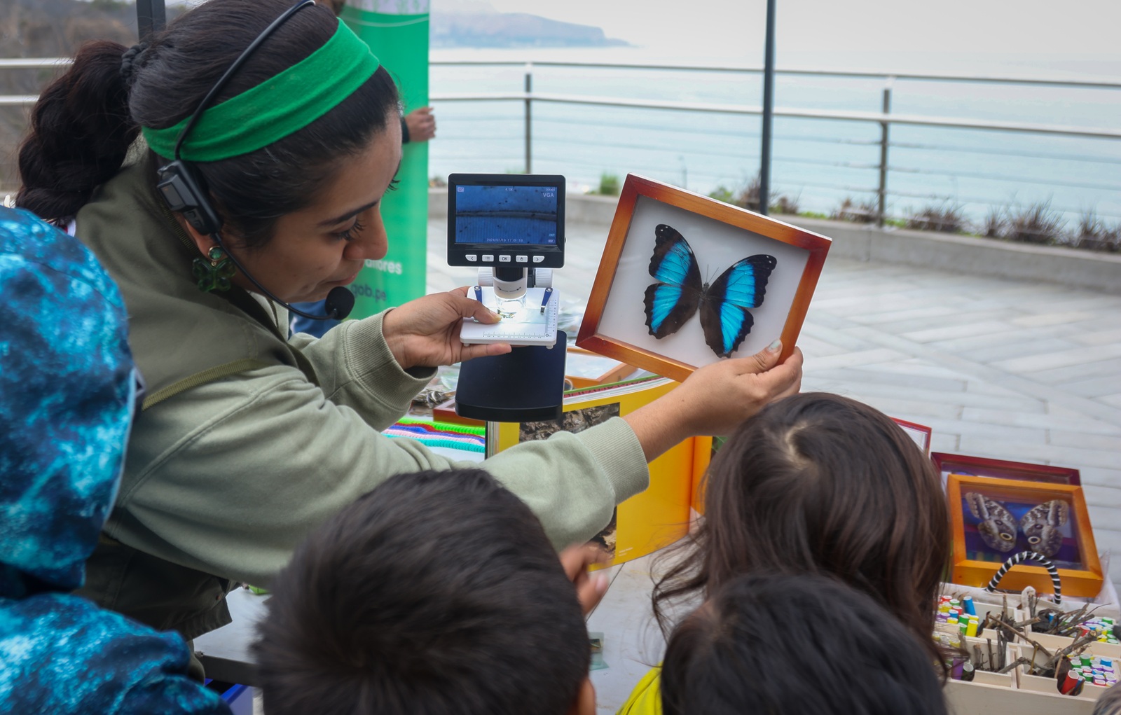 Miraflores realizó un nuevo taller de Insecto Aventuras - Municipalidad ...